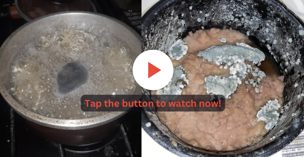 Is Your Rice Fake? The Alarming Truth About 'Plastic Rice' You Need to ...